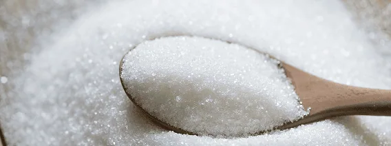 Bakery market forecast 2026: flour, starches, eggs, dairy, vegetable ...