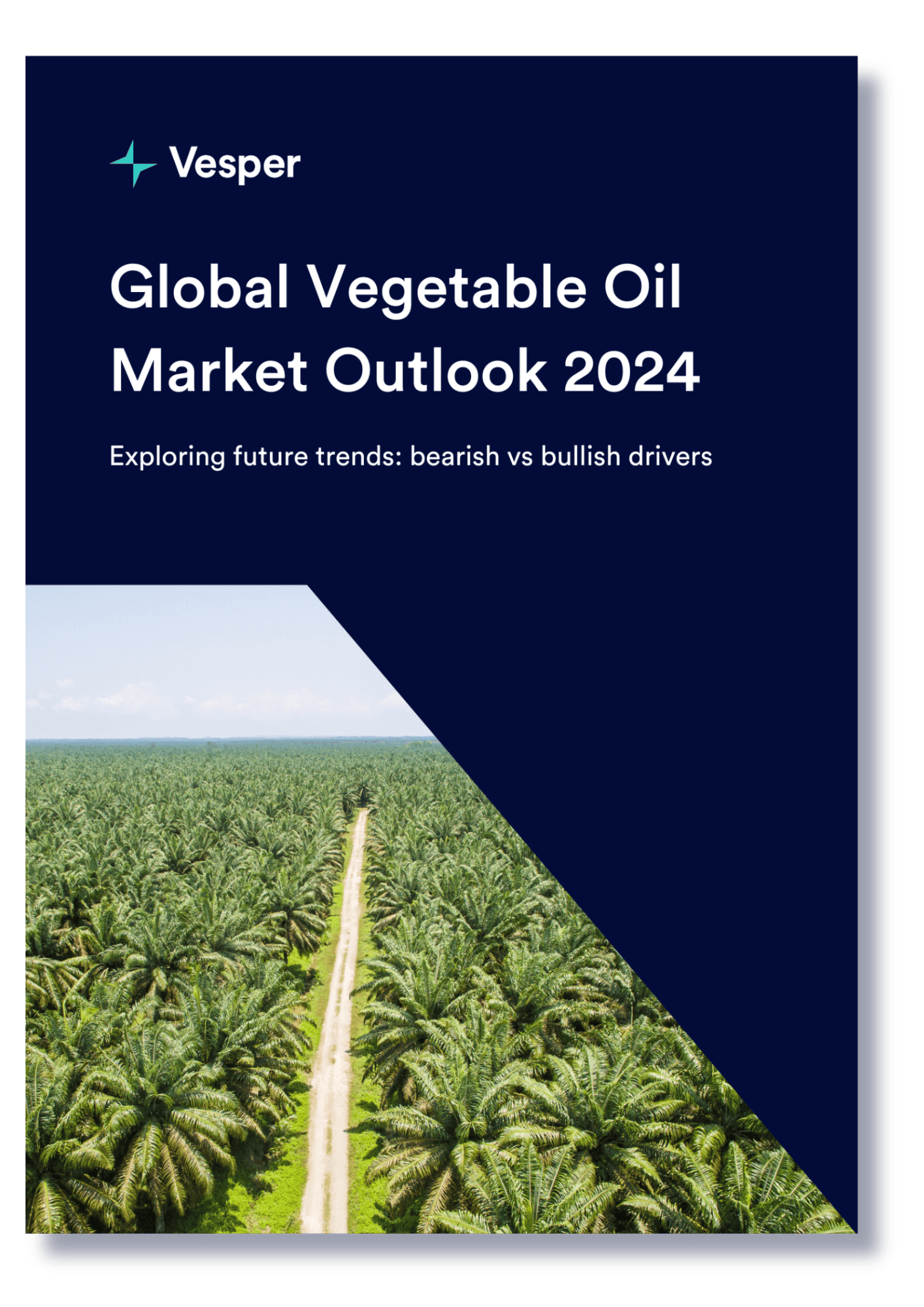 Global Vegetable Oil Market Outlook 2024 | Download the Free Report